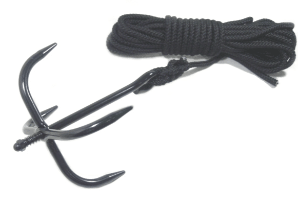 Ninja Facts - Ninja Hope